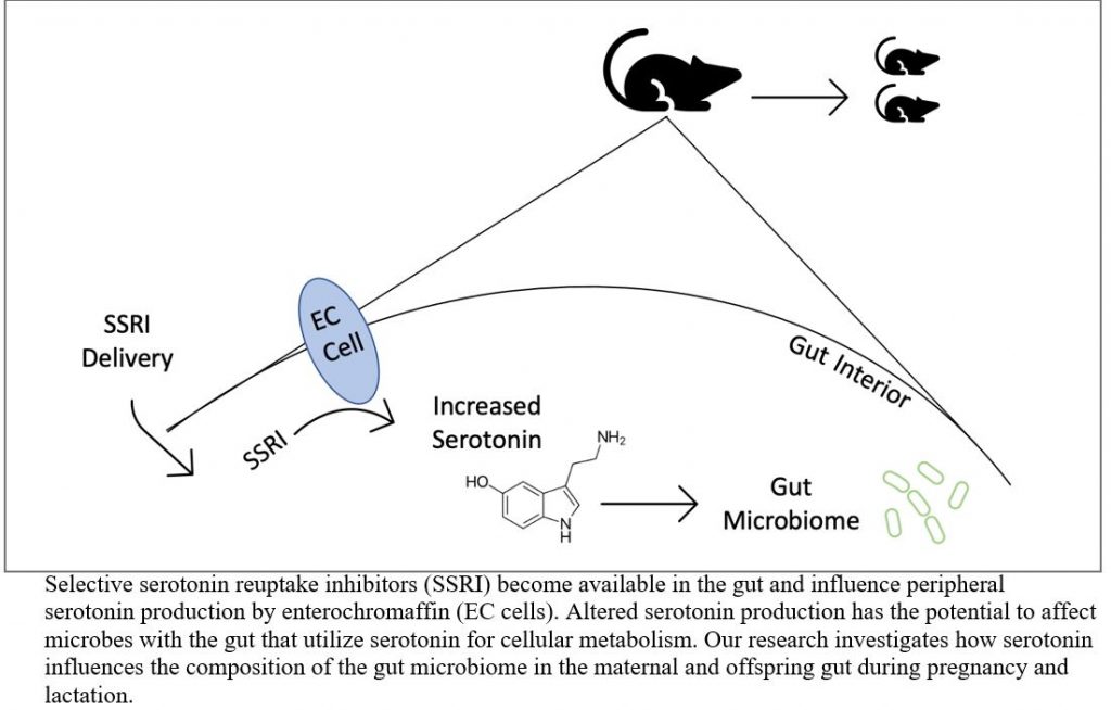 Current Trainee Research – Nutritional Sciences